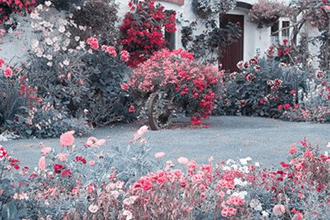 Colour Blindness: Experience it - Colour Blind Awareness