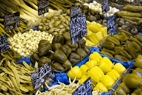 Causes of Colour Blindness - Colour Blind Awareness