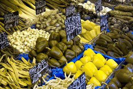 Causes of Colour Blindness - Colour Blind Awareness